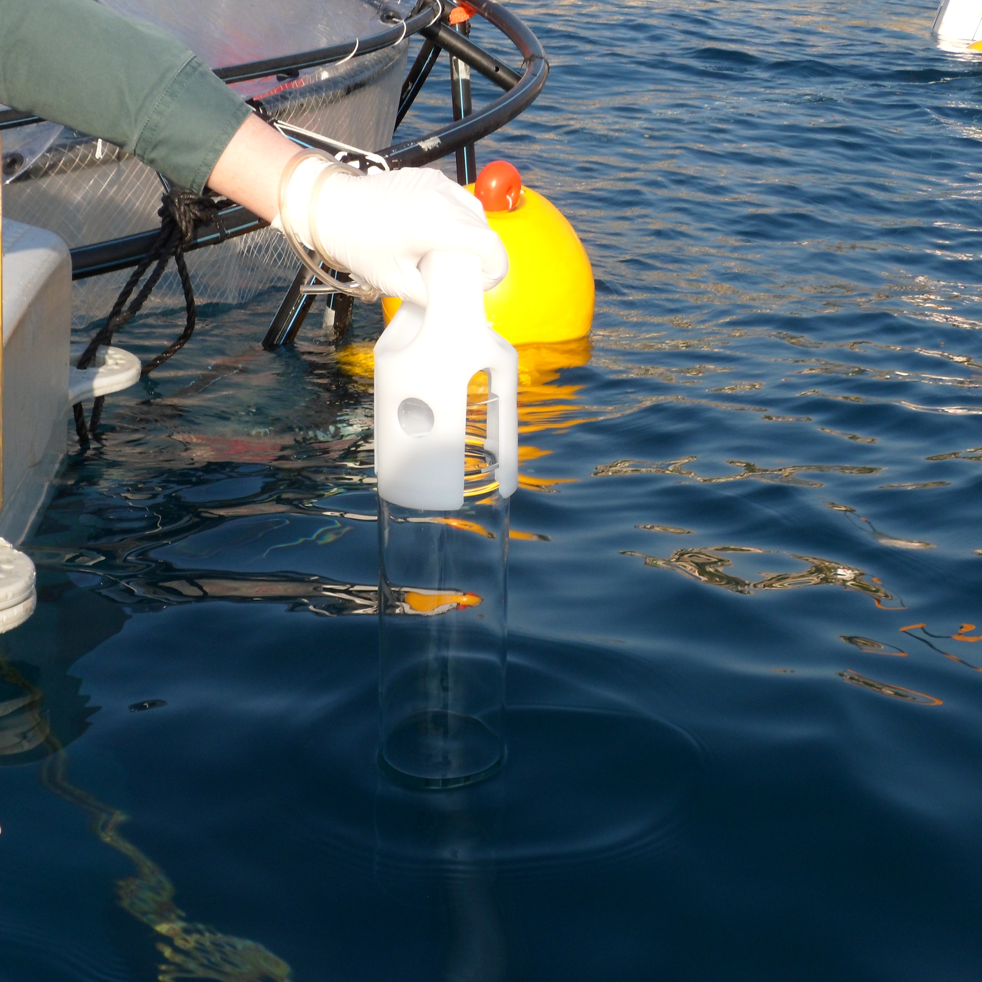 Reference Standard Material - Nitrogen, Total Kjeldahl in Sea Water Reference Standard Material - Nitrogen, Total Kjeldahl in Sea Water
